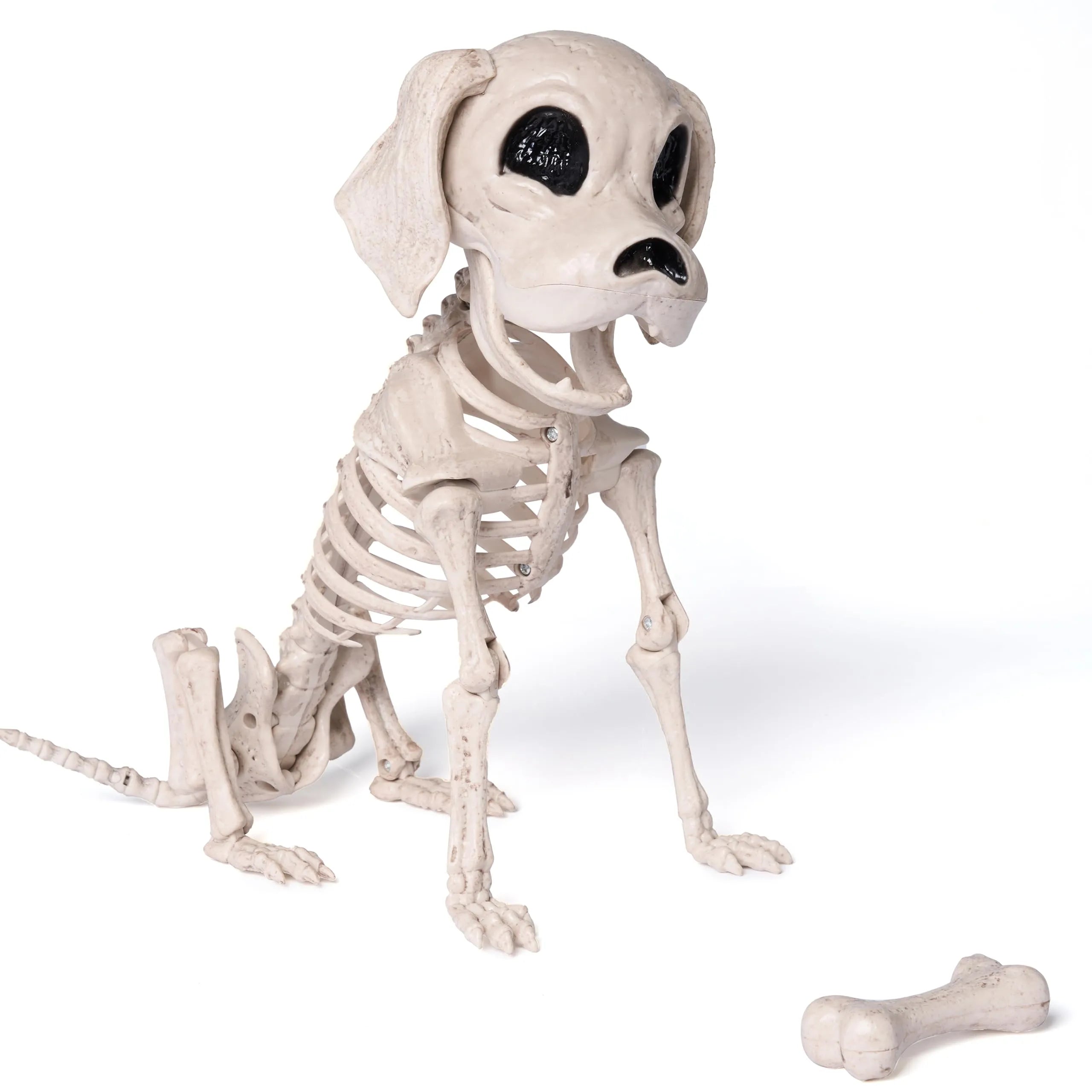 Posable Halloween Dog Skeleton Full Body Posable Joints Skeleton Puppy